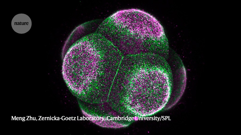 How to make a 3D map of a genome — as it looks inside the cell