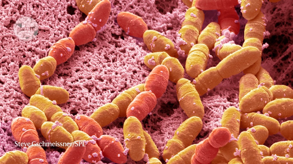 Microbes’ matchmaker helps bacteria to slime your teeth