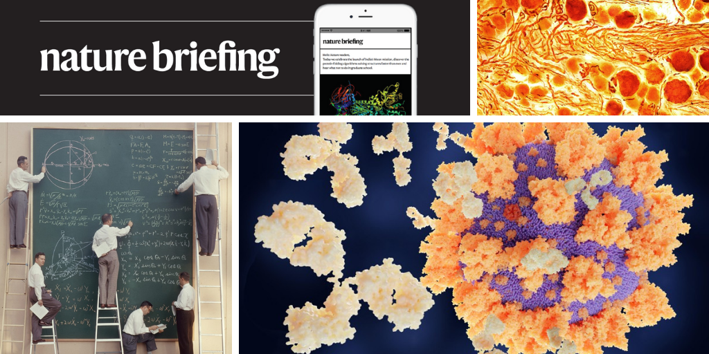 Daily briefing: Tips to focus, from neuroscience