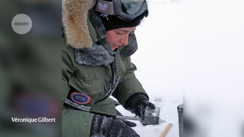 The 100 memes that immortalize my PhD defence