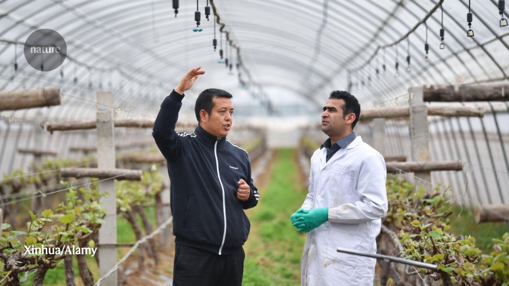 Silk Road becomes the one less travelled as China lures science talent home