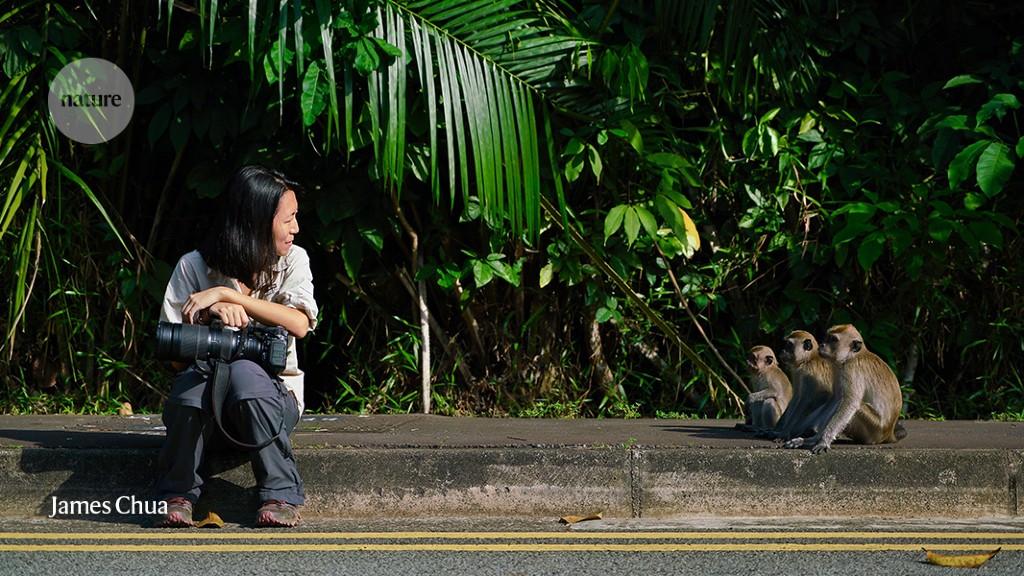 A monkey researcher fights to protect threatened and endangered primates