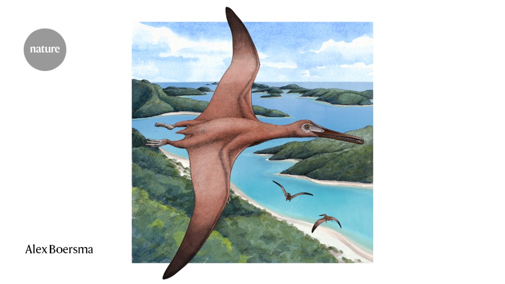 How ancient reptiles were streamlined for flight