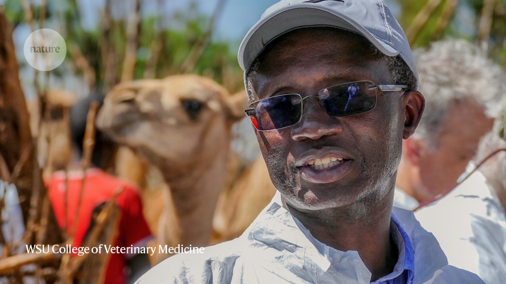 The virologist preparing Africa for the next pandemic