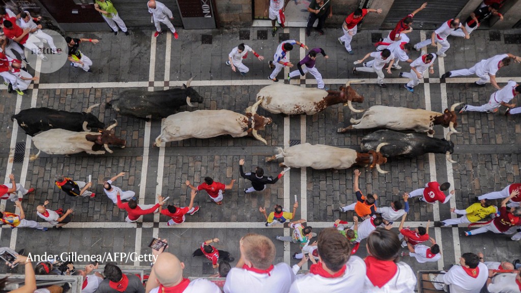 Running of the bulls tramples the laws of crowd dynamics