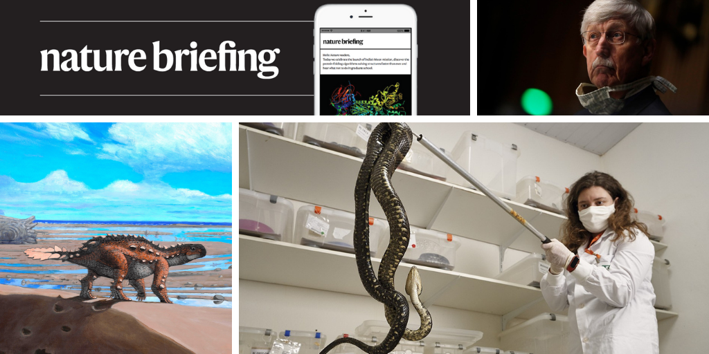Daily briefing: Francis Collins reflects on science and the NIH