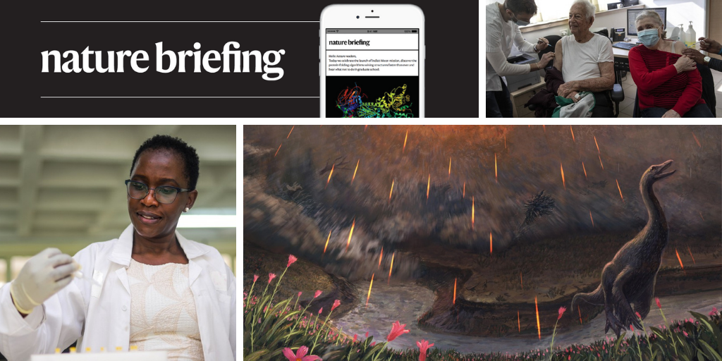 Daily briefing: Largest bacterium ever discovered is 2 cm long