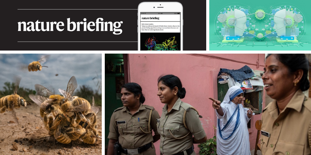 Daily briefing: New Zealand’s bold plan to oust invasive predators