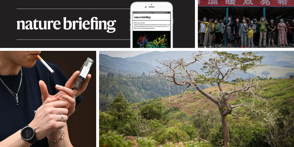 Daily briefing: Can science save the world’s rarest trees?