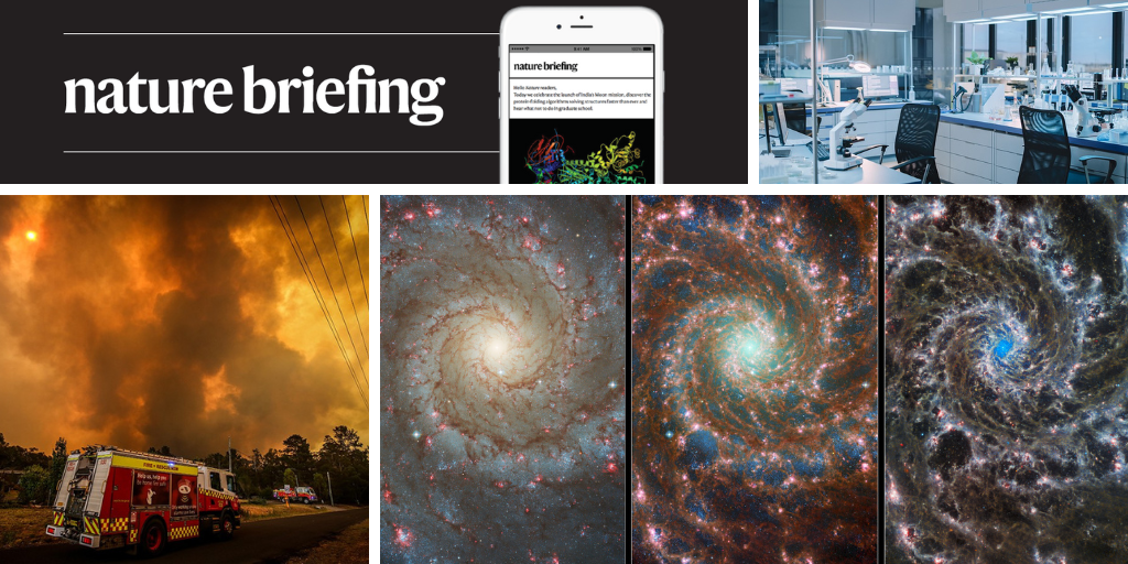 Daily briefing: Why PIs are struggling to find postdocs