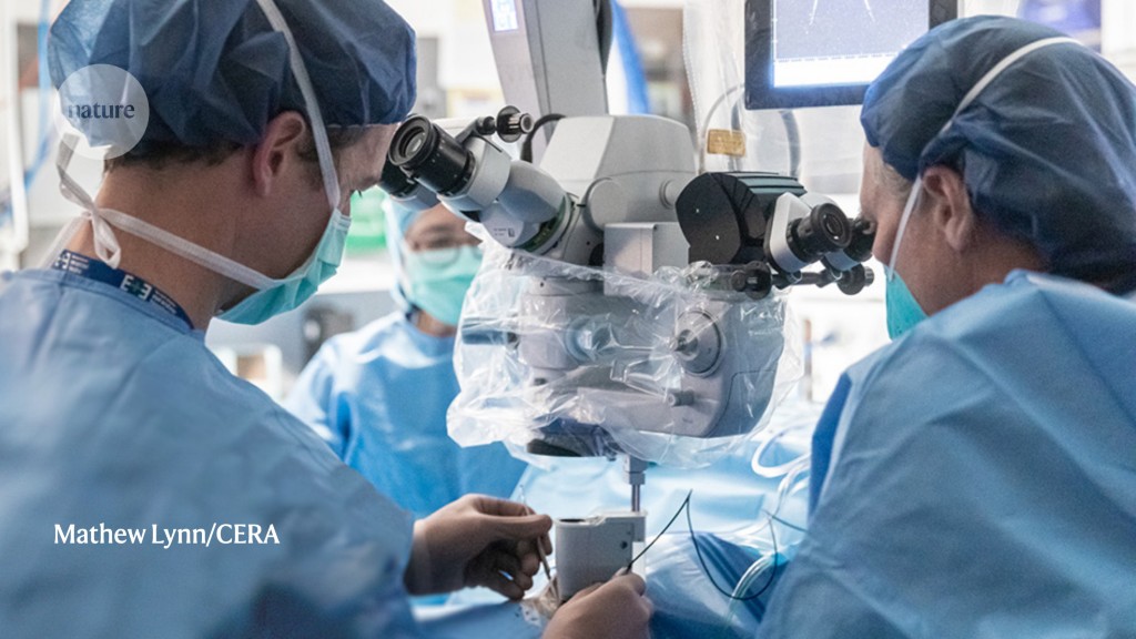 How gene therapy is emerging from its ‘dark age’