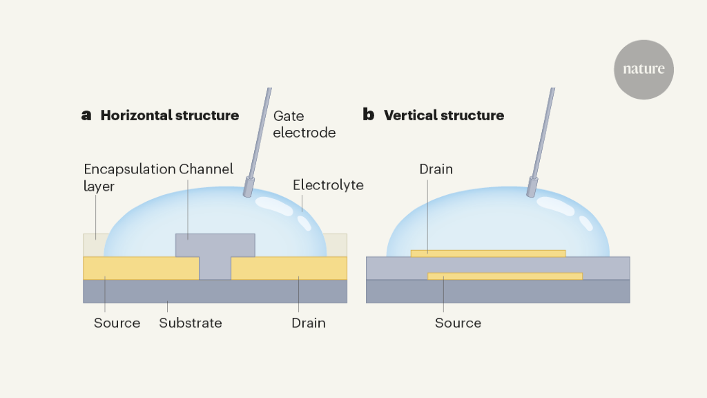 Vertical architecture improves performance of transistor family