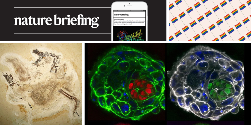 Daily briefing: Most powerful cosmic event ever observed