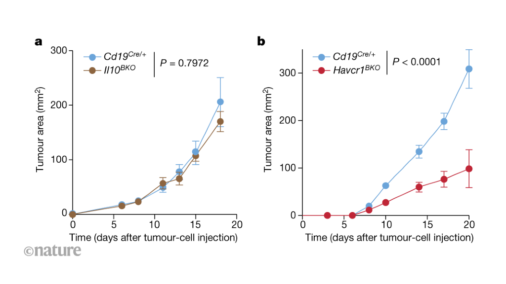 Uncovering a role for B cells in antitumour immunity