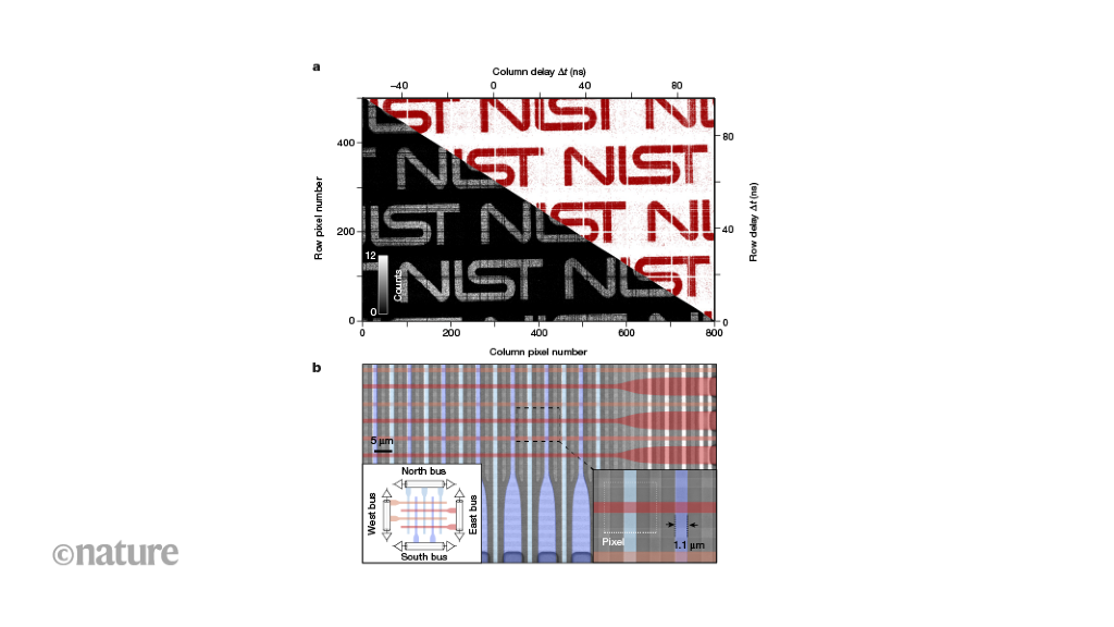 Large-scale nanowire camera with a single-photon sensitivity