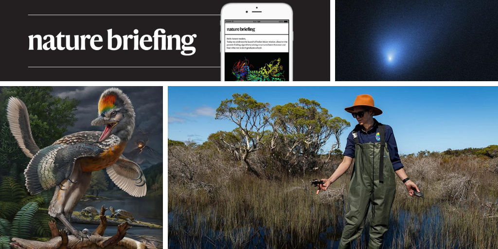 Daily briefing: What’s the endgame of OpenAI, the creator of ChatGPT?