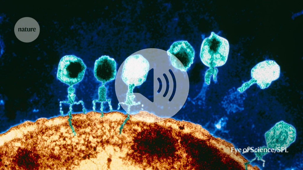 An anti-CRISPR system that helps save viruses from destruction
