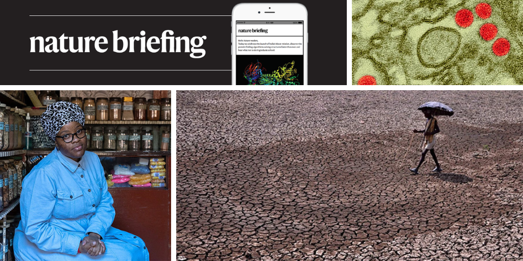 Daily briefing: Severe COVID linked to bad fungal microbiome