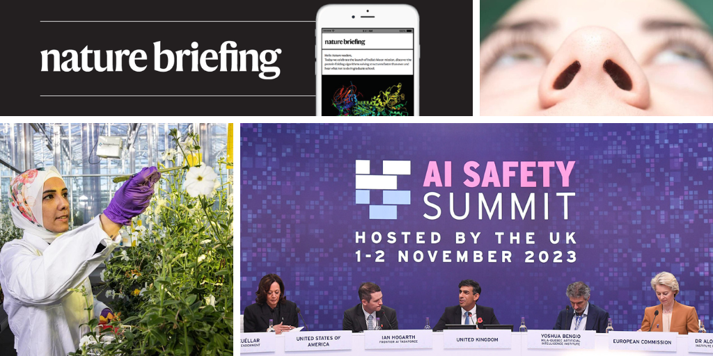 Daily briefing: Countries begin weaving an AI safety net