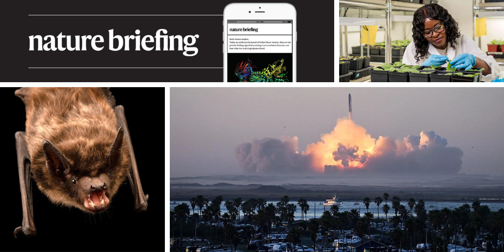 Daily briefing: These bats mate more like birds than mammals