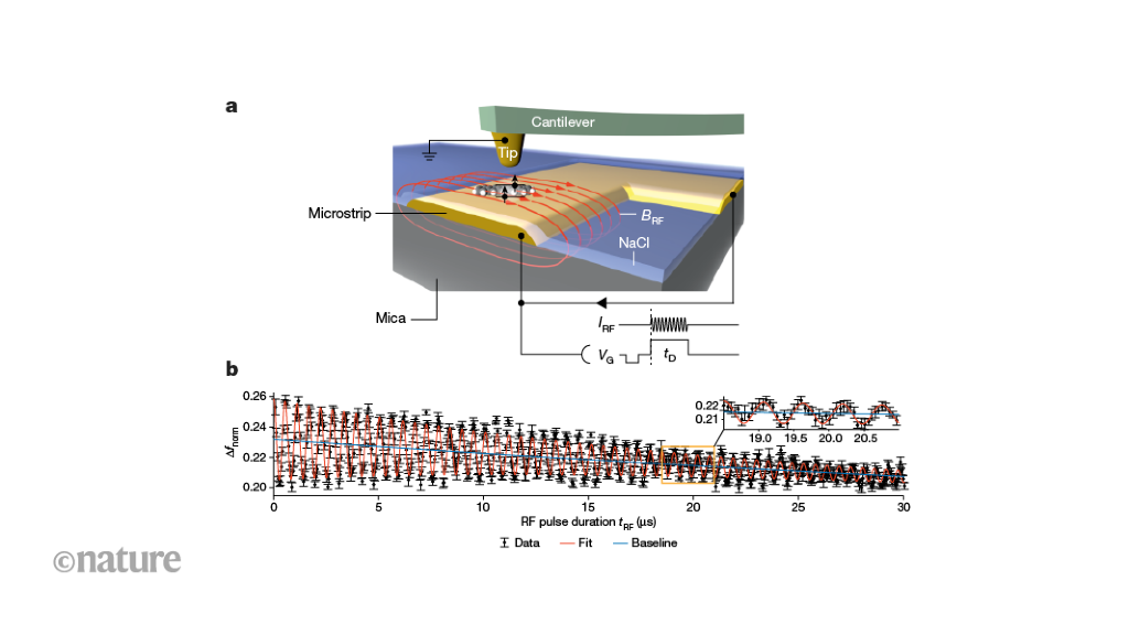 Probing single electron spins with an atomic force microscope for ...