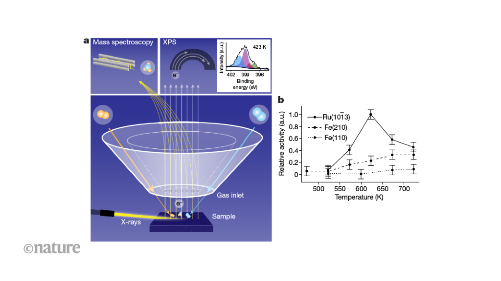 Directly observing catalytic chemistry in the Haber–Bosch process