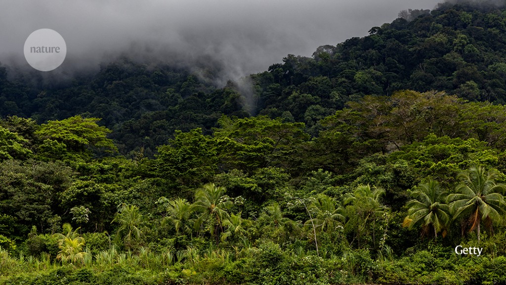 How immense mountains create one of the rainiest places on Earth