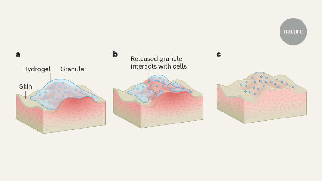 Sticky gels designed for tissue-healing therapies and diagnostics