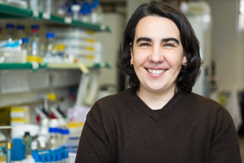 Evolutionary insights into E. Coli