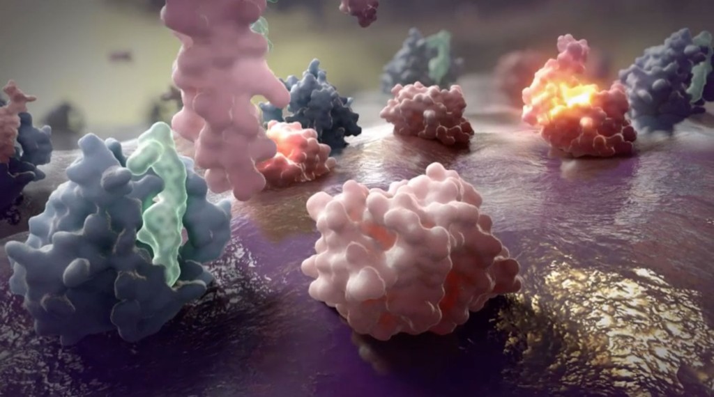 Targeting cell death: helping push cancer cells over the edge