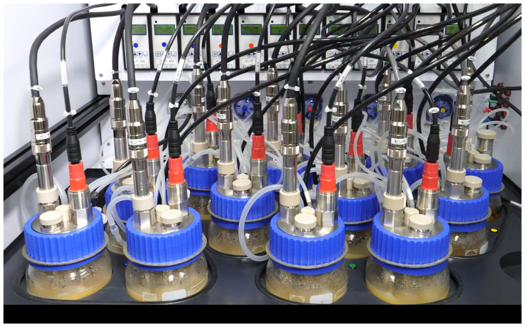 A systematic approach to scaling up synthetic biology