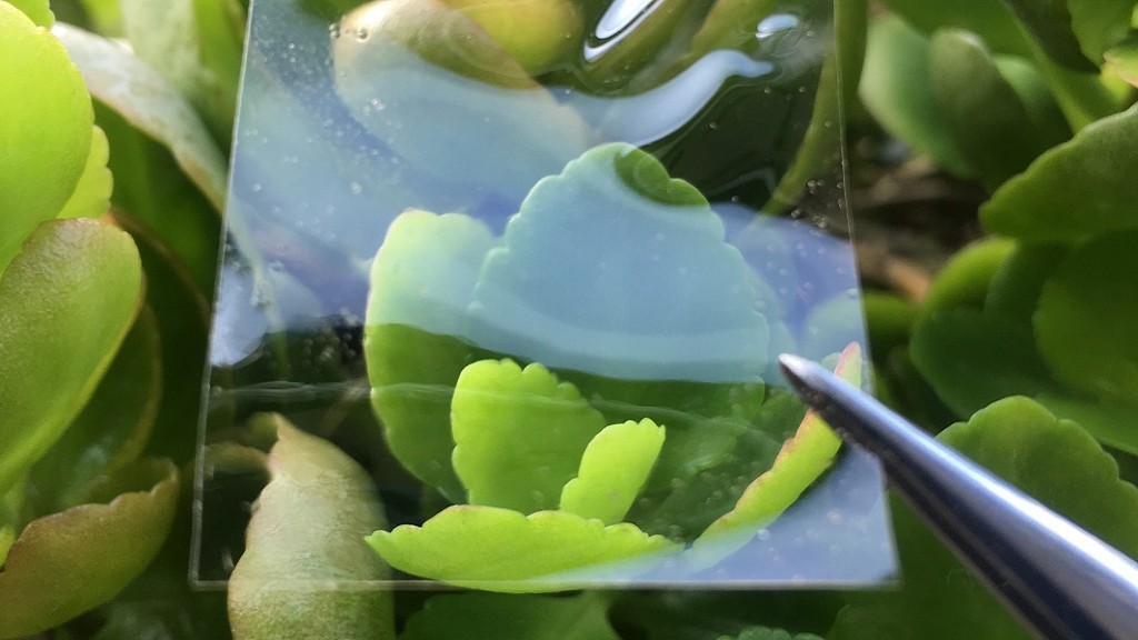 Advancing sustainable development goals