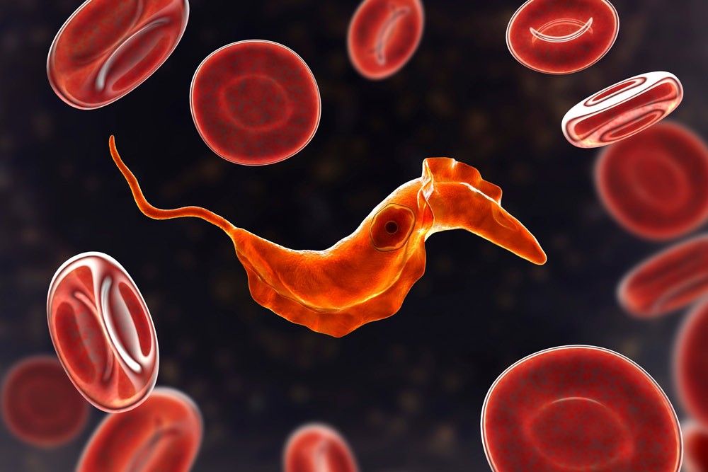 Bringing neglected tropical diseases into the spotlight