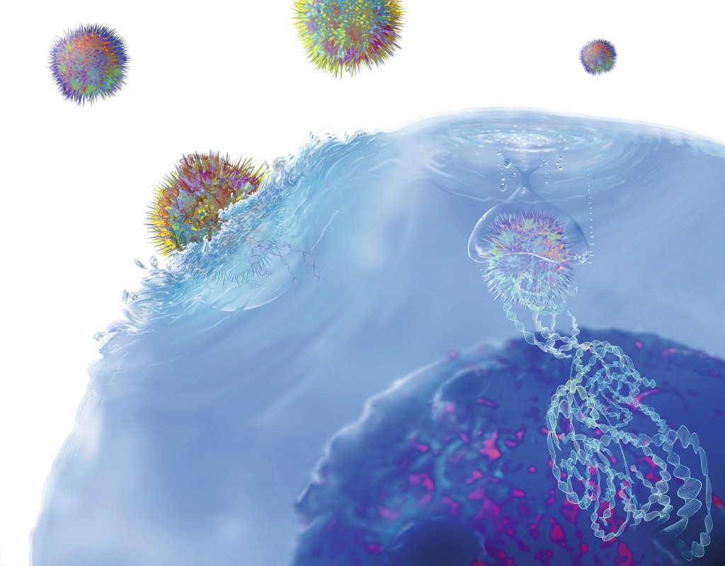 How understanding T cells has the potential to bring new treatments for ...