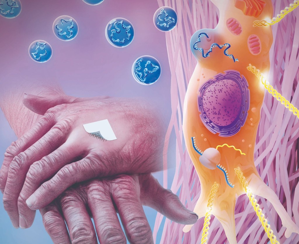 Novel delivery system opens doors for mRNA therapy