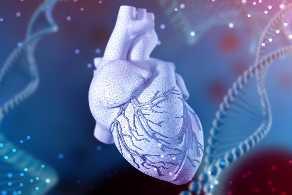 Gene therapy could bring a quantum leap in cardiology