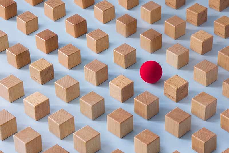 iNKT cells: defying the definition