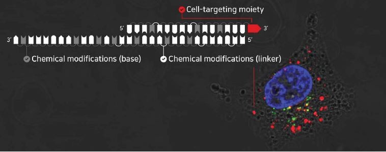 Driving drug development through next-generation oligonucleotide technology