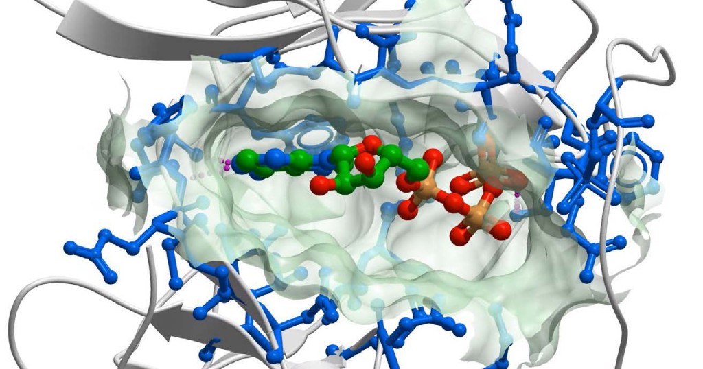 Creating a premier oncology biotech company in Europe