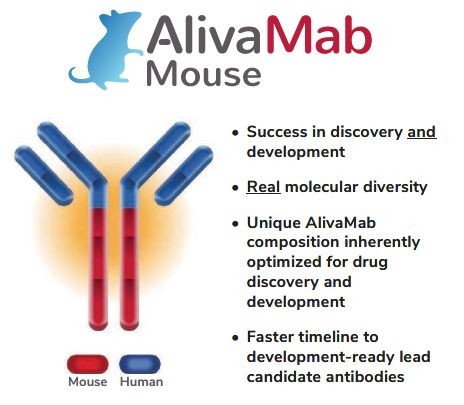 Integrated therapeutic antibody discovery solutions