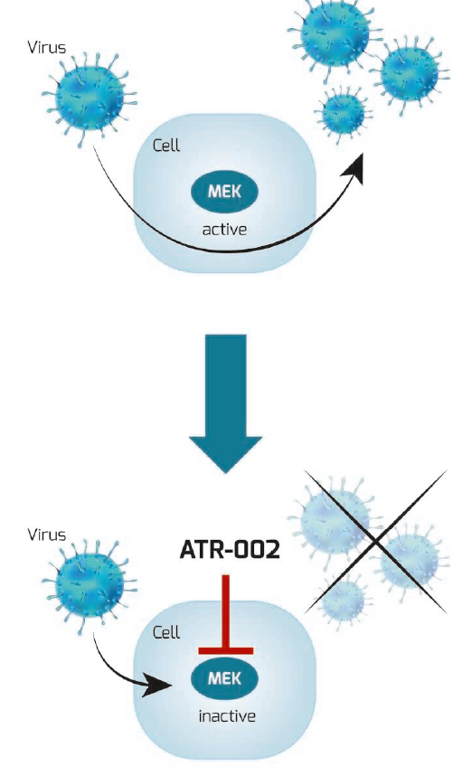 Atriva Therapeutics: a quantum leap in antiviral respiratory therapies