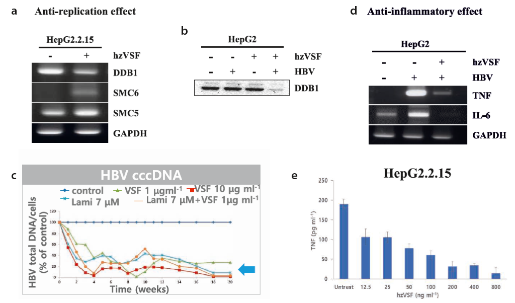 ImmuneMed: lifting the burden of infectious disease