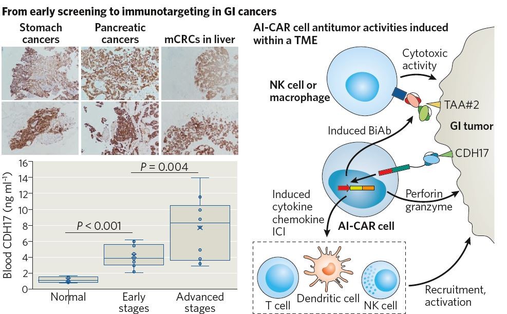 Defeating cancer with next generation immunotherapies