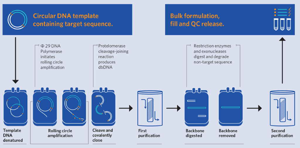 Reshaping the production of DNA-based therapies