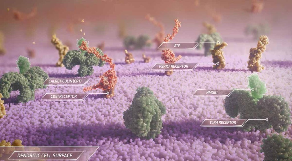 Harnessing immunogenic cell death for cancer