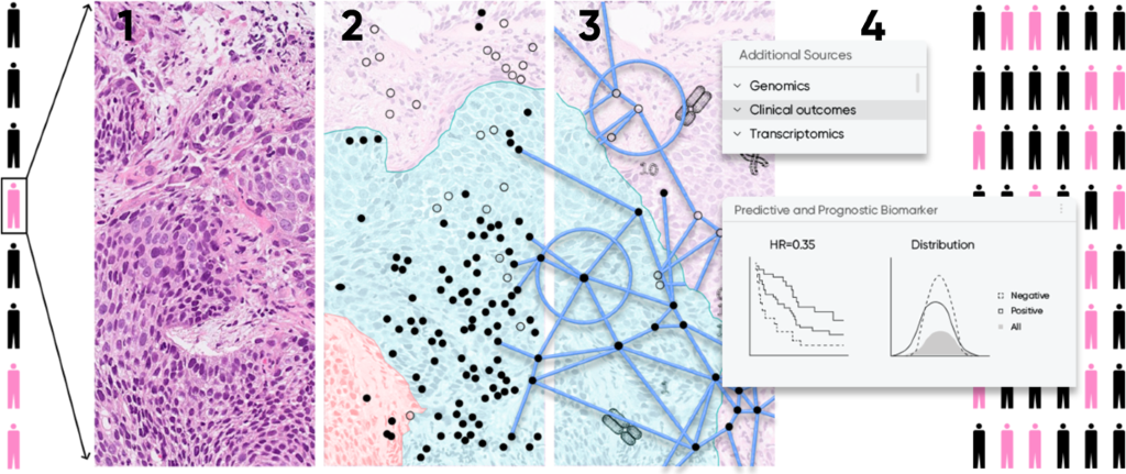 Artificial intelligence-powered spatial biology is transforming ...