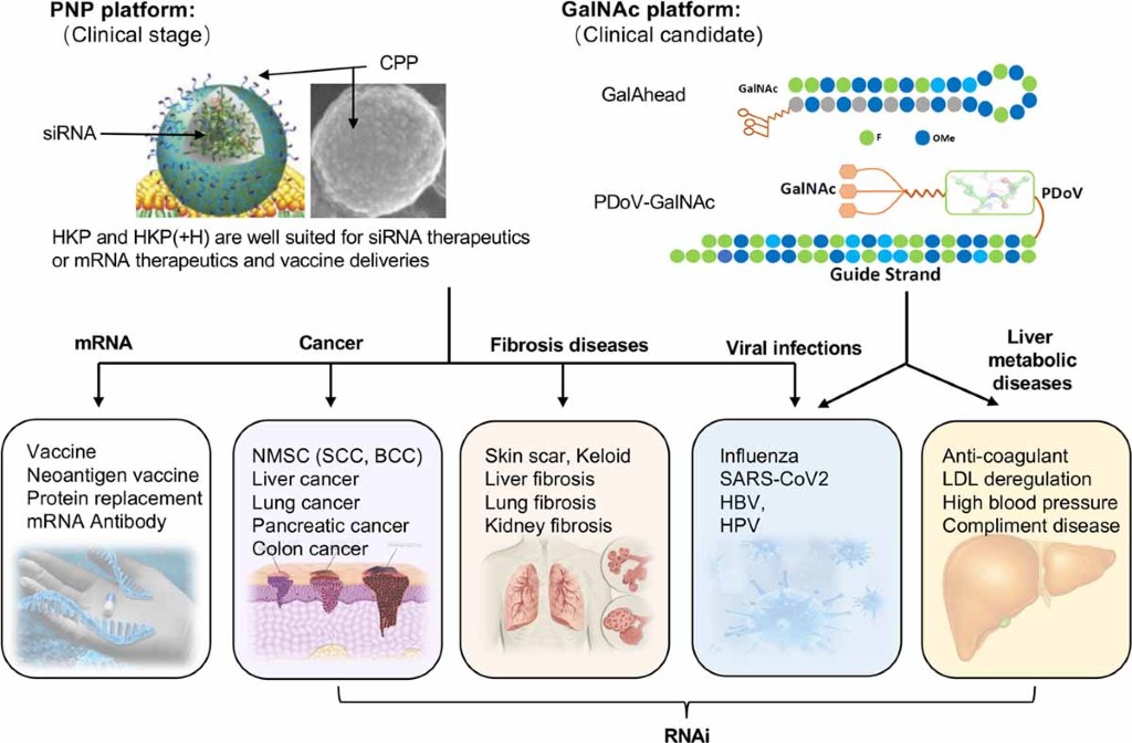 Sirnaomics: a unique, clinical-phase RNA therapeutic innovator on the ...