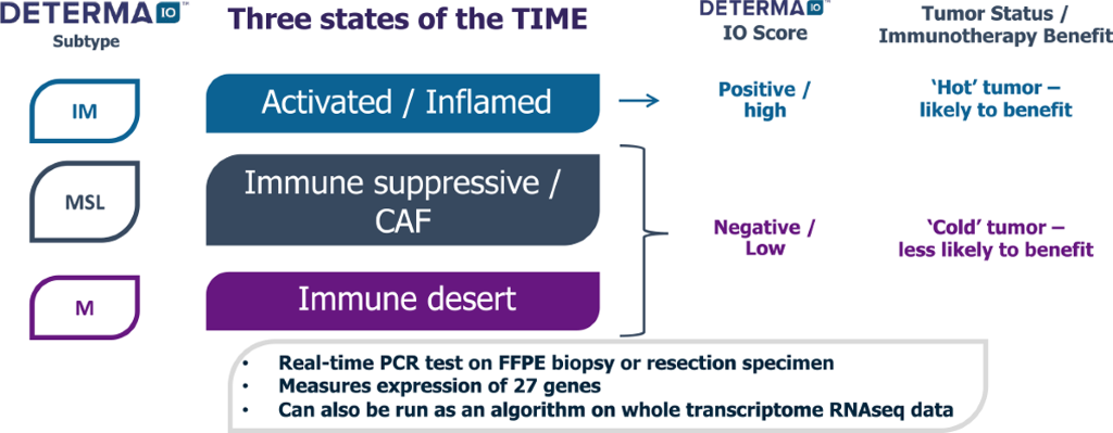 Determining immunotherapeutic responsiveness one test at a time