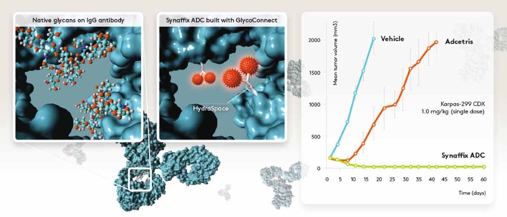 Hitting the antibody–drug conjugate sweet spot