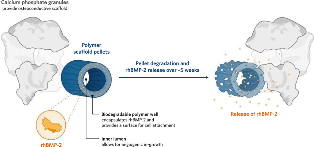 Locate Bio: next-generation orthobiologics